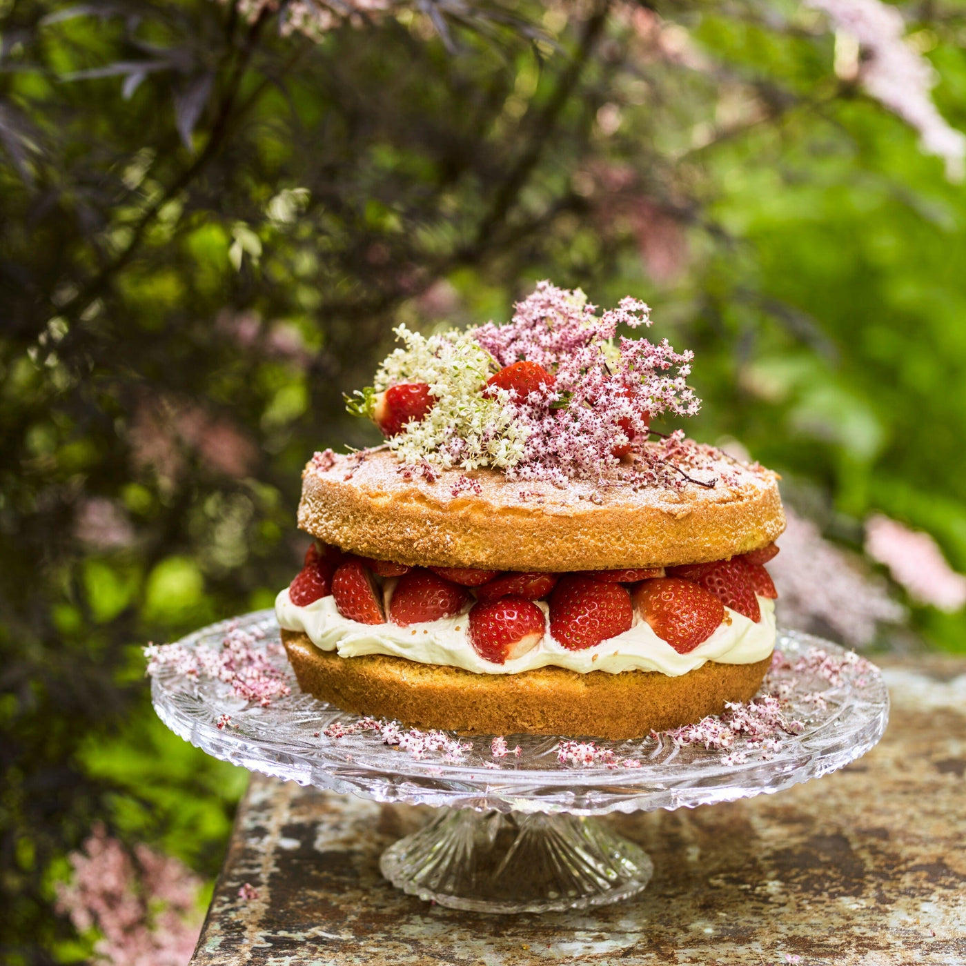 Milk Street Digital Class: Advanced Irish Baking with Cherie Denham ...